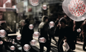 What CITI Program is Reading: January 31st, 2023