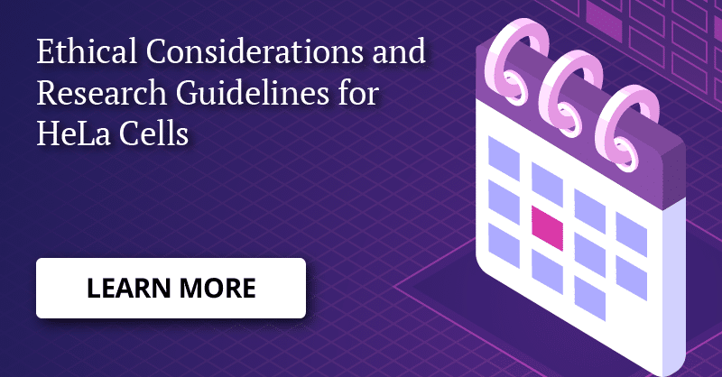 Ethical Considerations + Research Guidelines for HeLa Cells