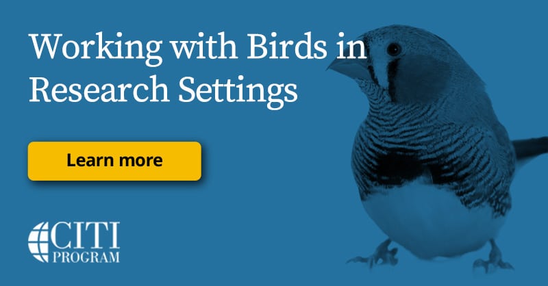 Working with Birds in Research Settings | CITI Program